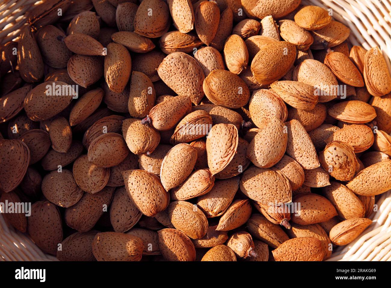 Season for harvesting dried fruits hi-res stock photography and images ...