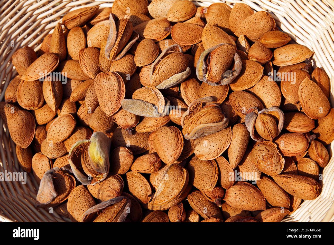 Almonds harvest france hi-res stock photography and images - Alamy