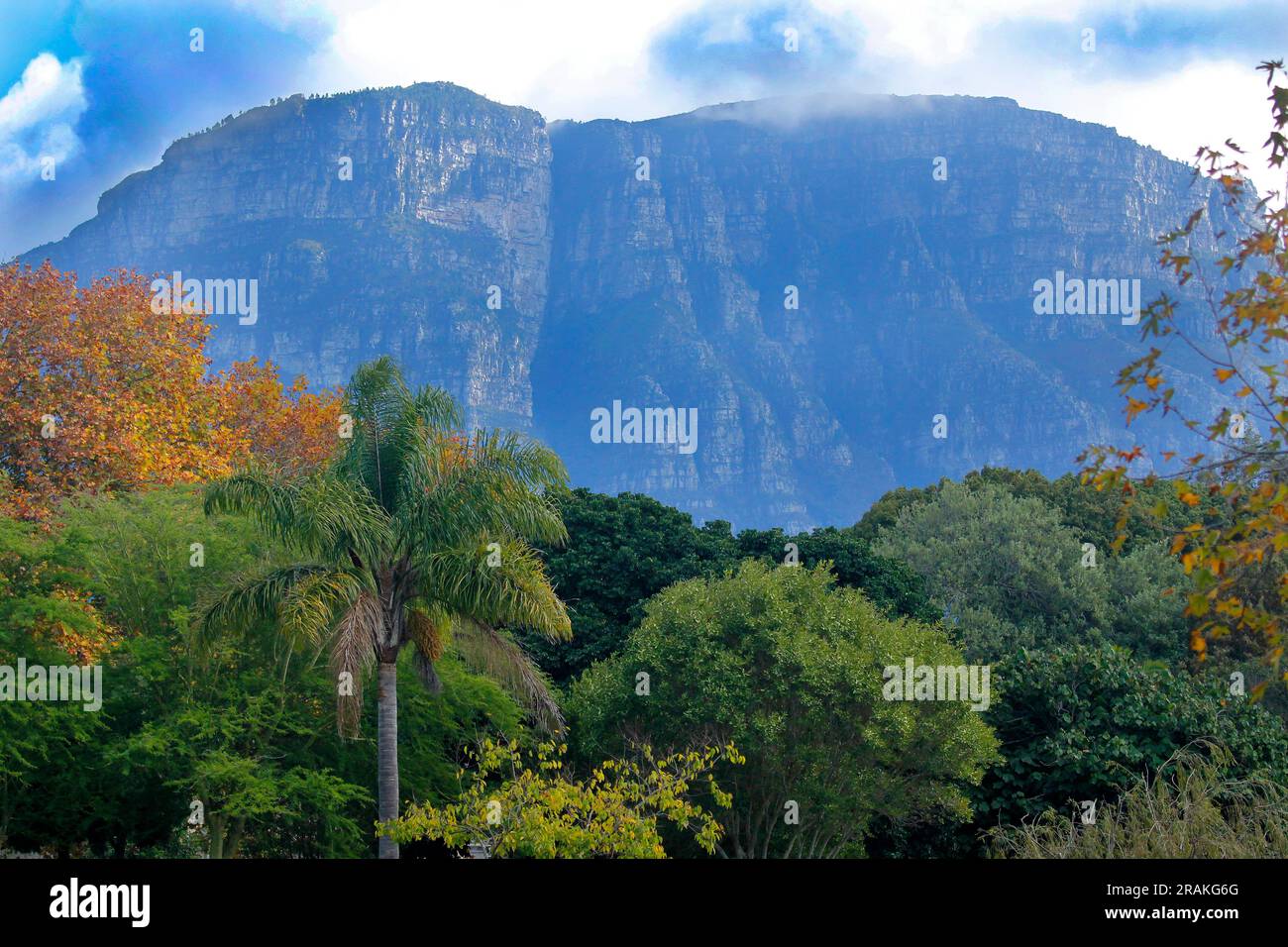 Views taken from the summit of Table Mountain on a fine mid-winter's ...