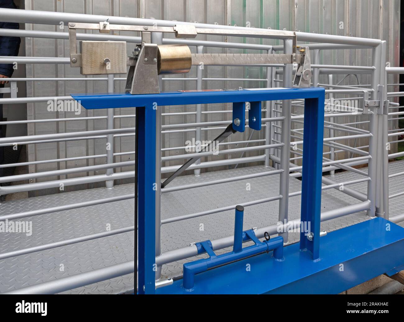 Big Scale With Cage for Livestock Animals at Farm Stock Photo - Alamy
