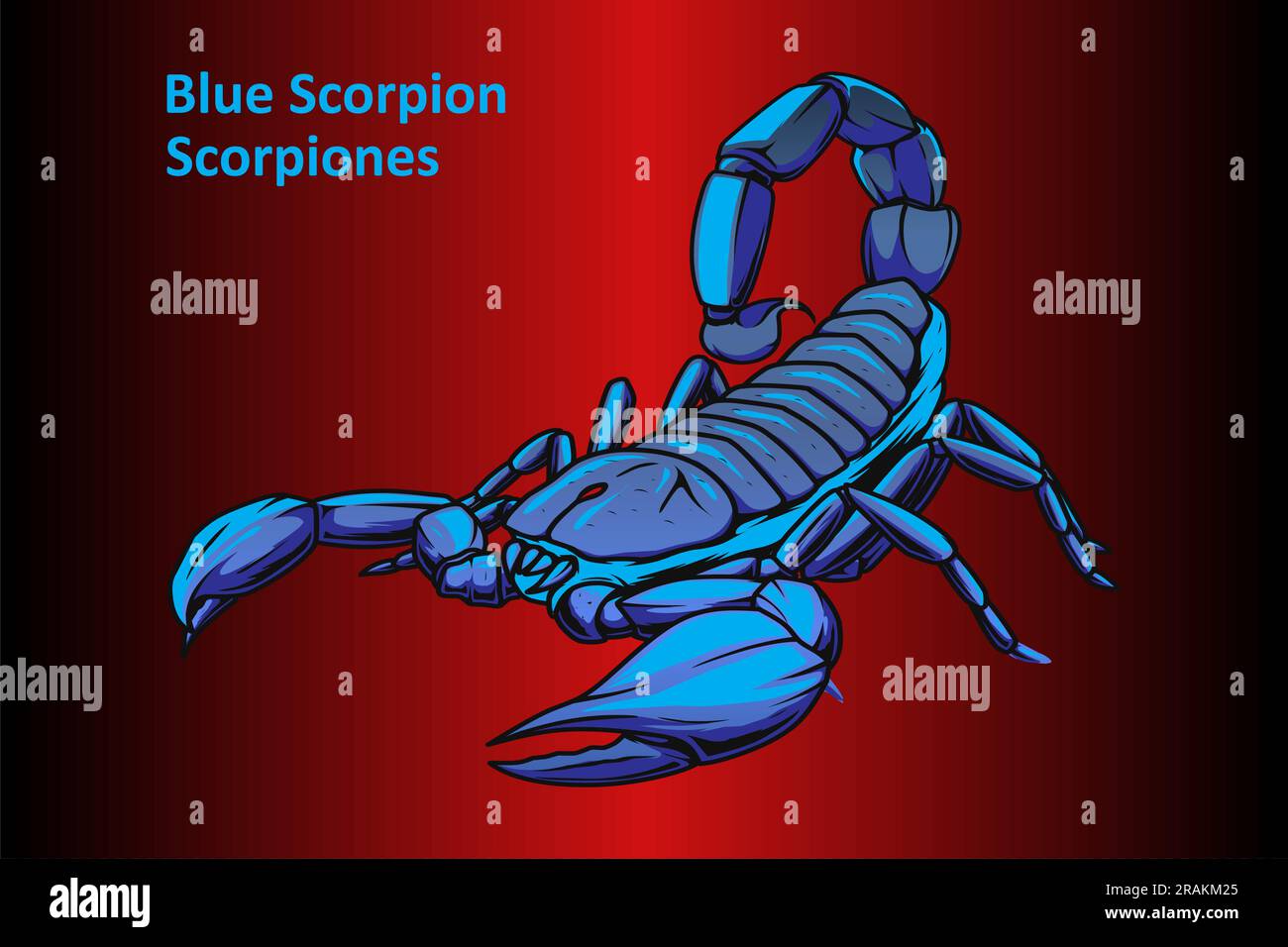 Scorpion on abstract Red Background - Illustration, Cuban Blue Scorpion ...