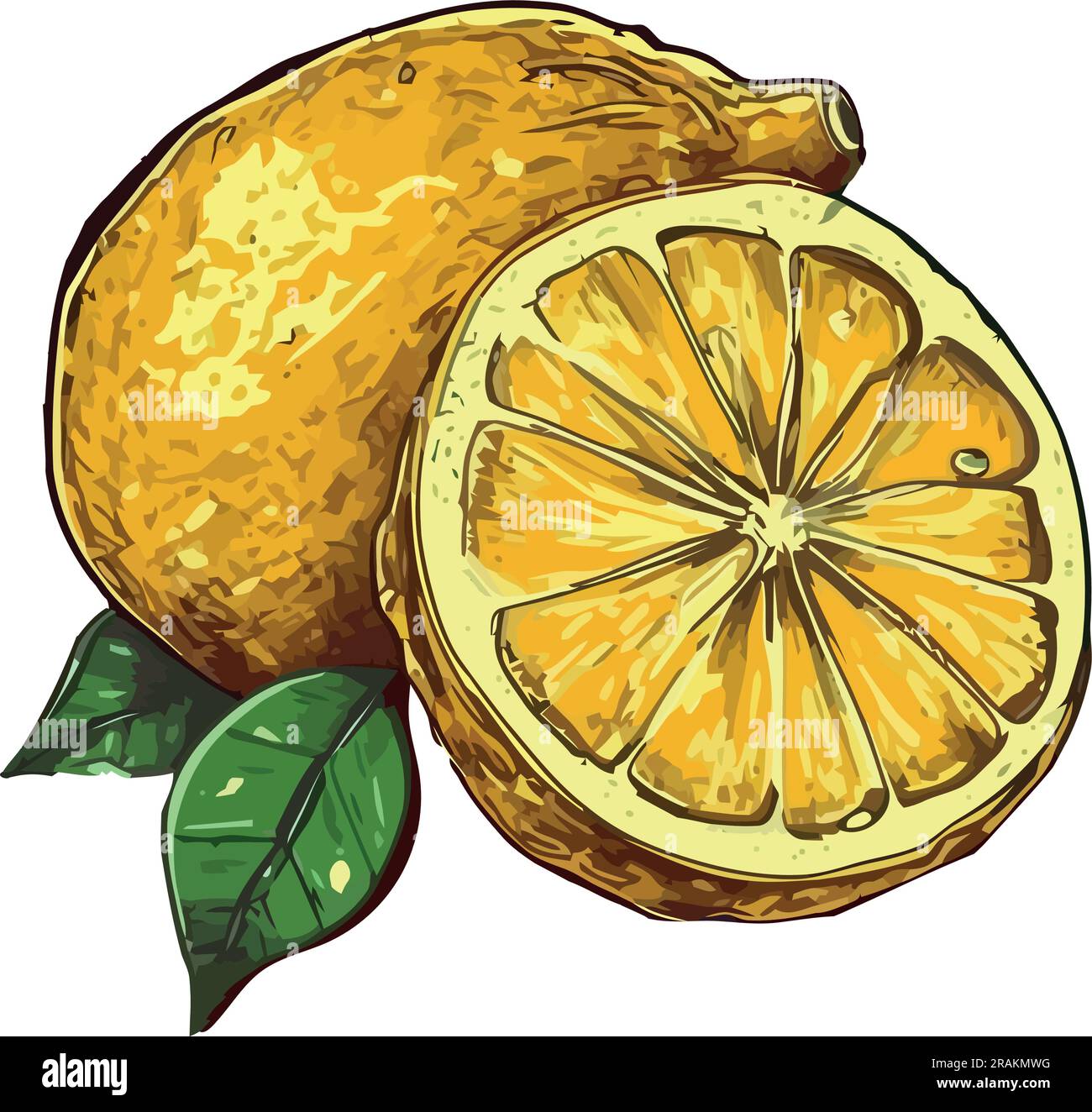Juicy citrus slice, fresh and ripe, illustration of lemon Stock Vector ...