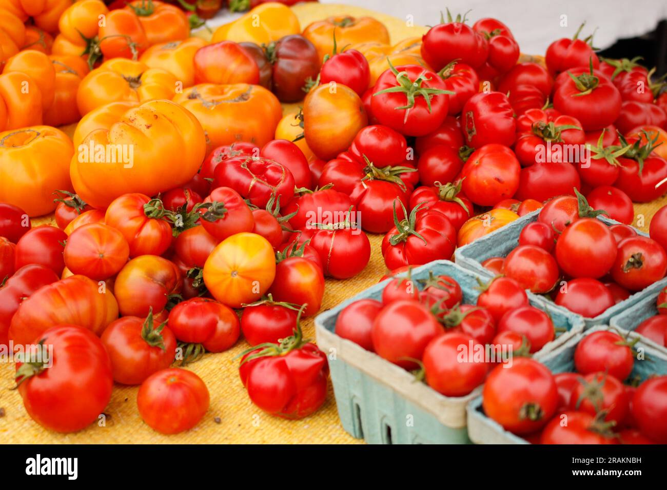 A view of several varieties of tomatoes, seen at a local farmers market ...