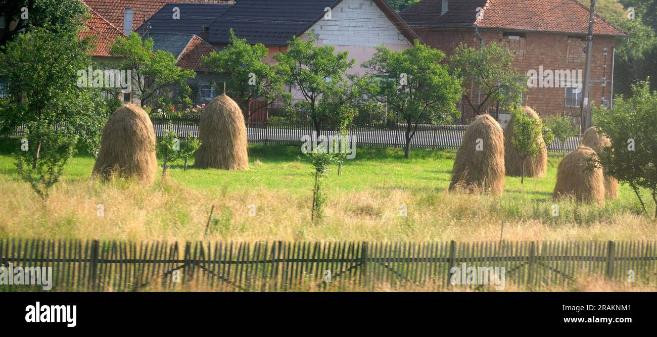 Piles of hay in a farmland in Romania Stock Photo - Alamy