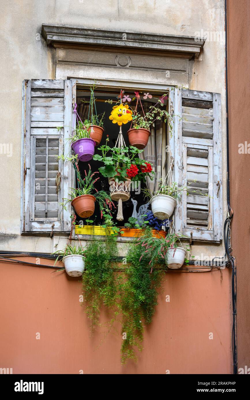 Hanging flower pots arranged in a window in Split's Medieval old town ...
