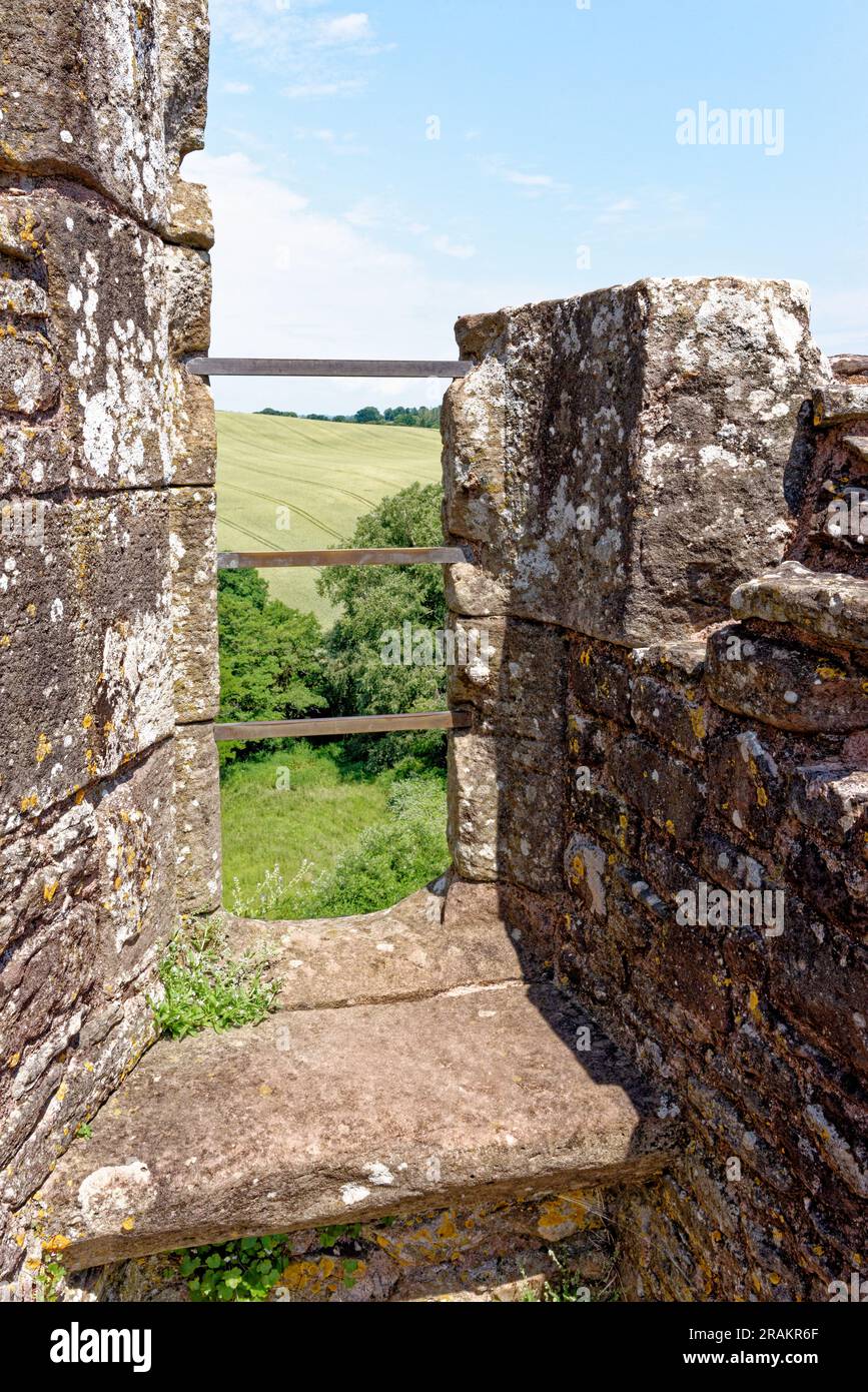 Ruins of the medieval Raglan Castle (Welsh: Castell Rhaglan ...
