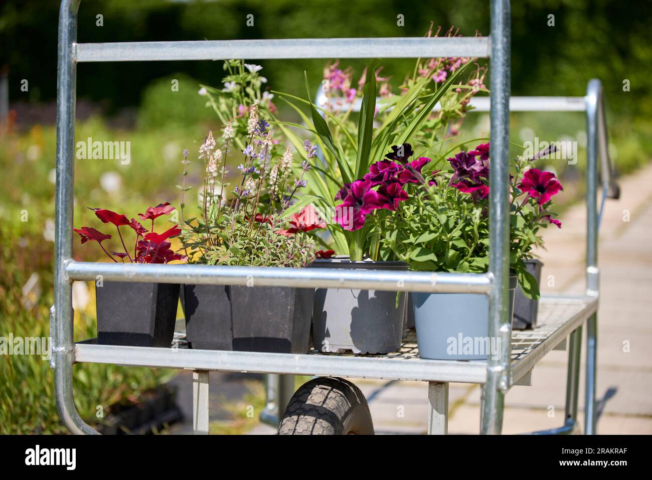 Flower trolley hi-res stock photography and images - Alamy