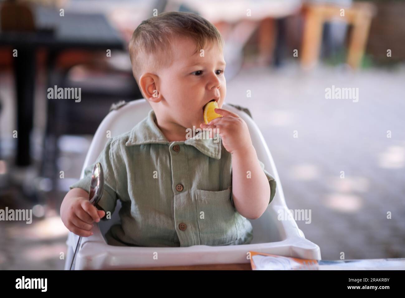 Adorable baby boy licking lemon fruit peace sitting in high chair and ...