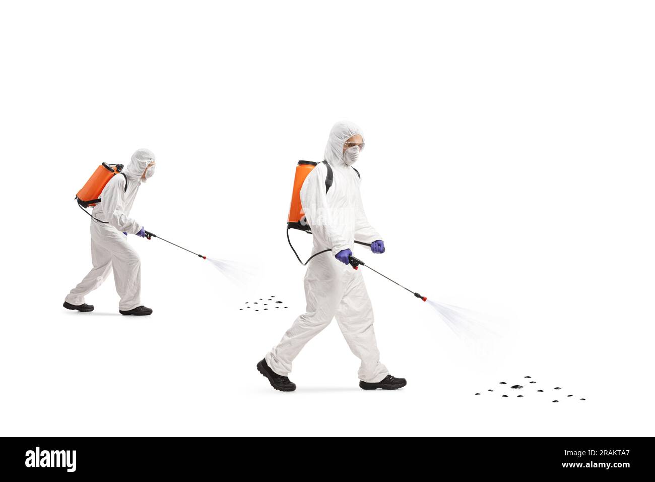 Team of pest control professionals in white suits spraying cockroaches ...