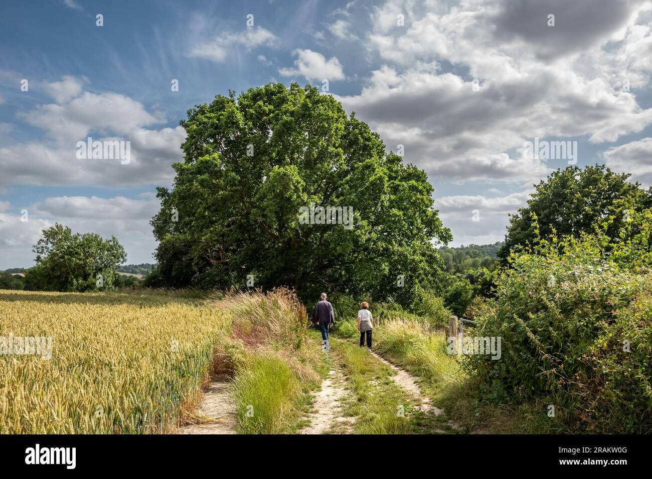 Rural kent hi-res stock photography and images - Alamy