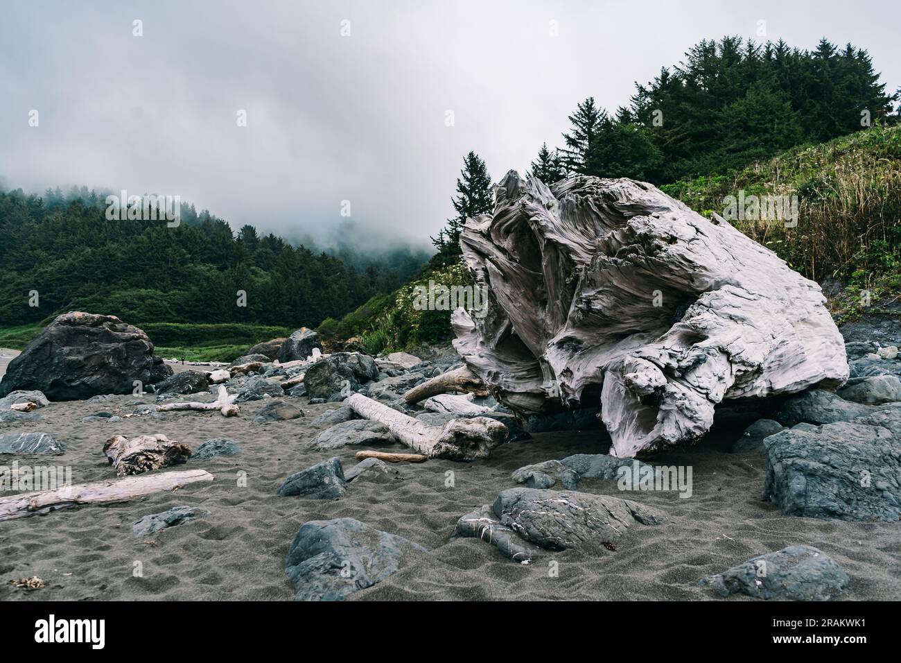 Nor cal ocean hi-res stock photography and images - Alamy Nor cal ocean hi-res stock photography and images - Alamy