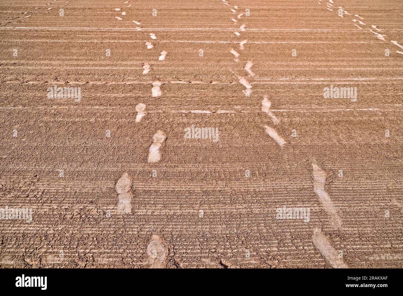 Footprints on the beach in freshly raked sand Stock Photo - Alamy