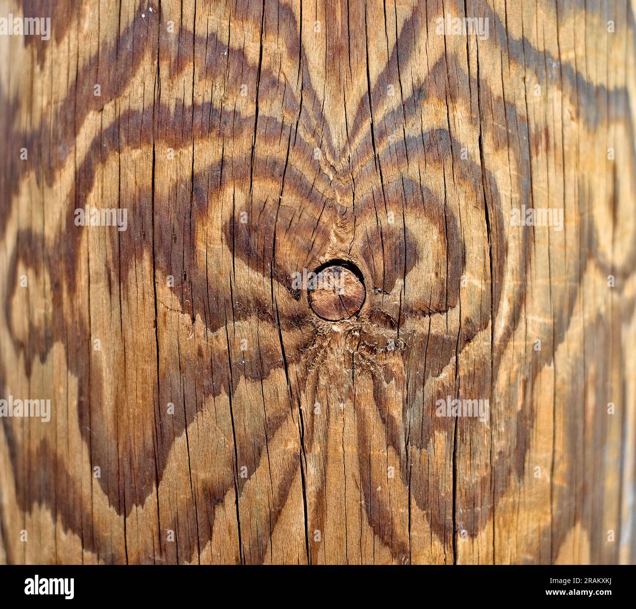 Wood knot in the shape of a heart, natural pattern on a weathered ...