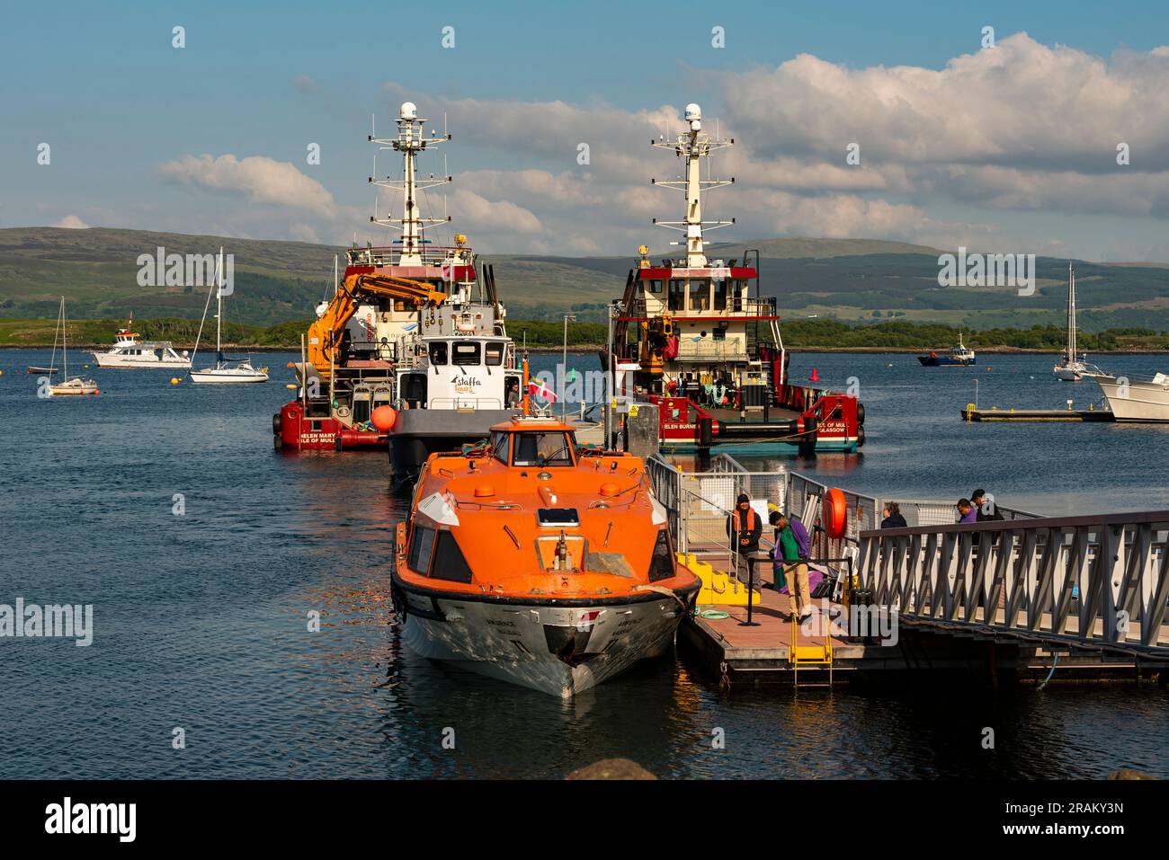 Tobermory, Isle of Mull, Scotland, UK. 6 June 2023. Looking out from ...
