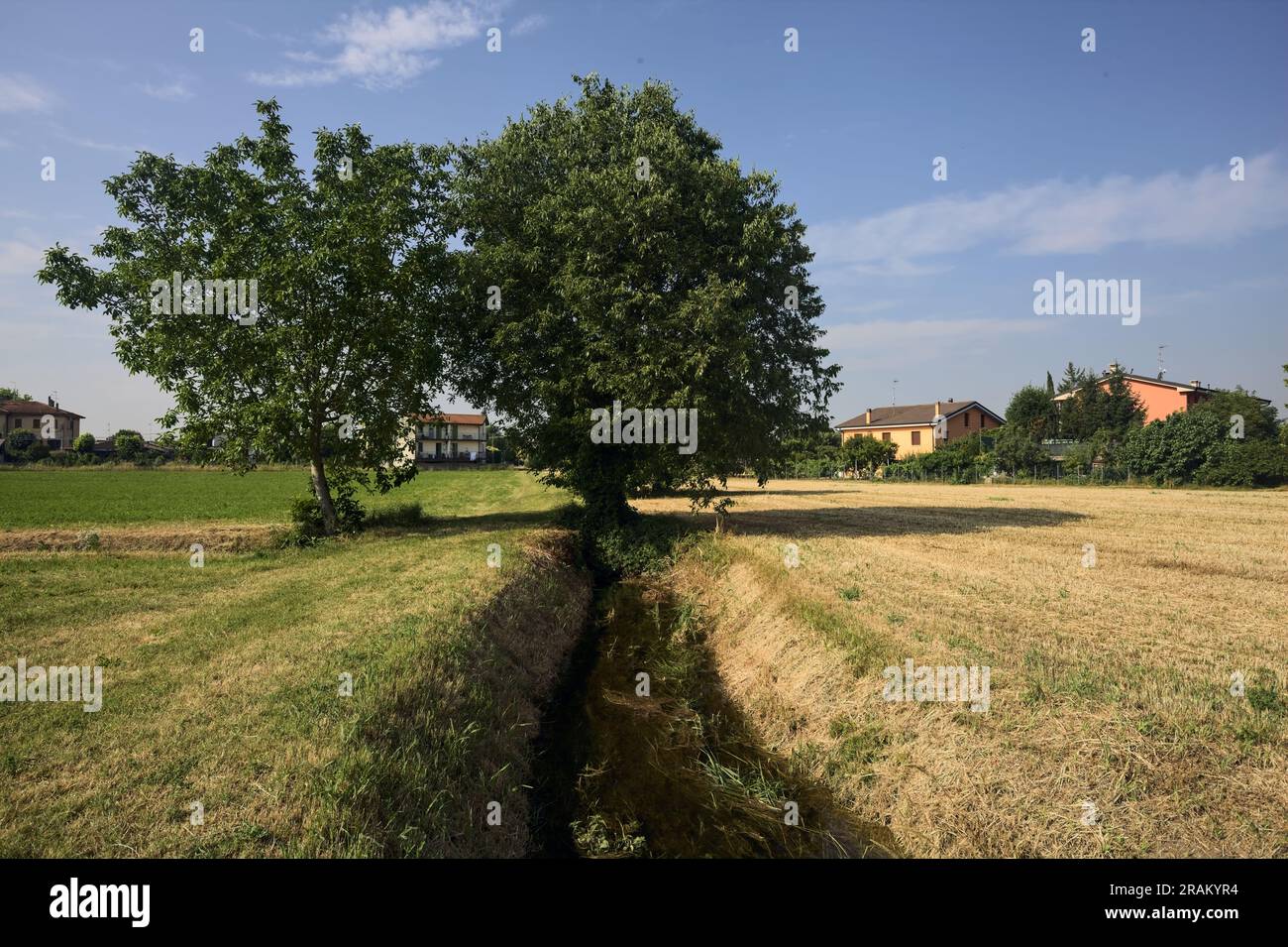 Trees and a dry trench in a field on a sunny summer day in the italian ...