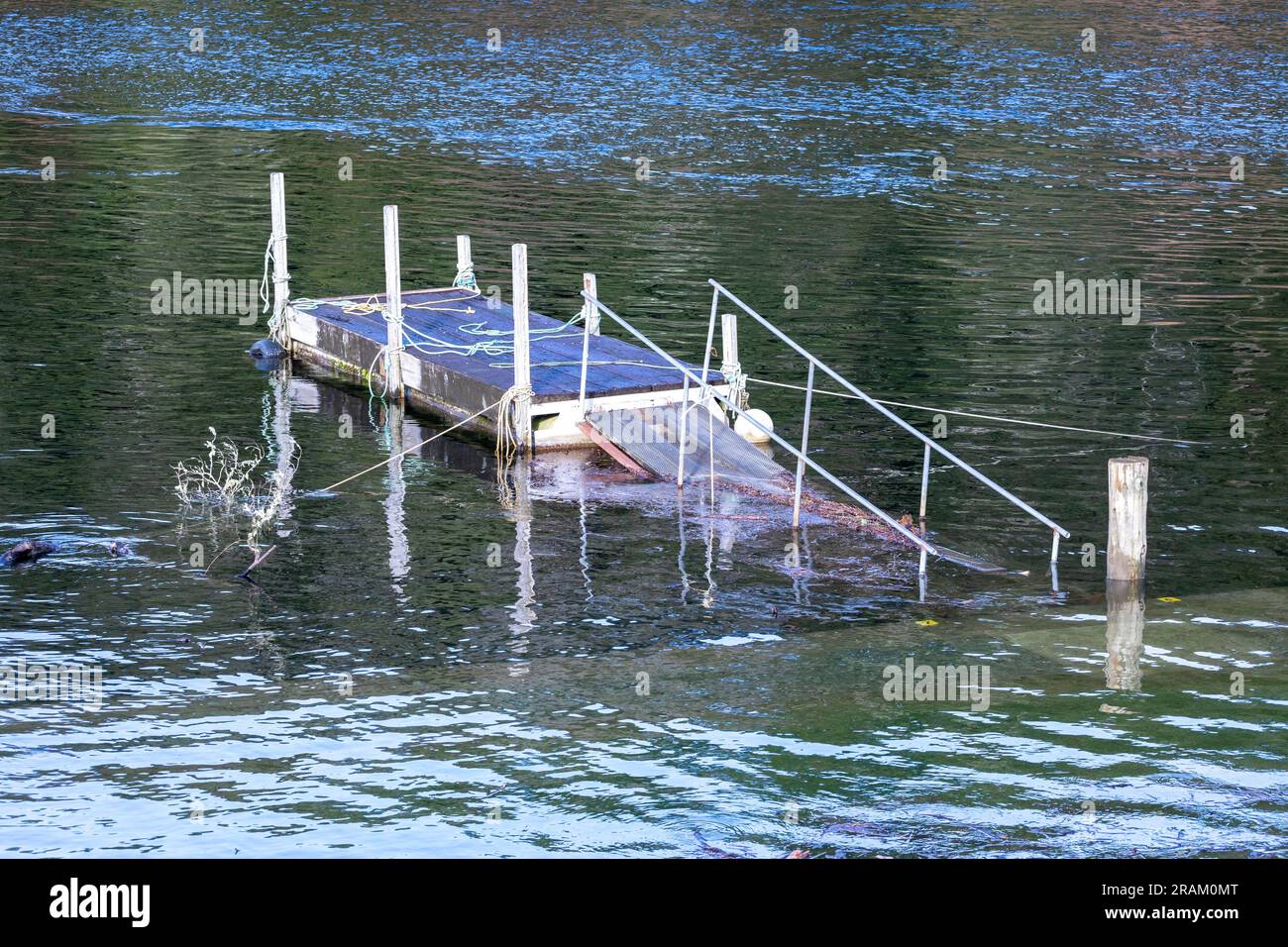 Photograph of steel boat moorings in flood waters at the Manapouri Boat ...