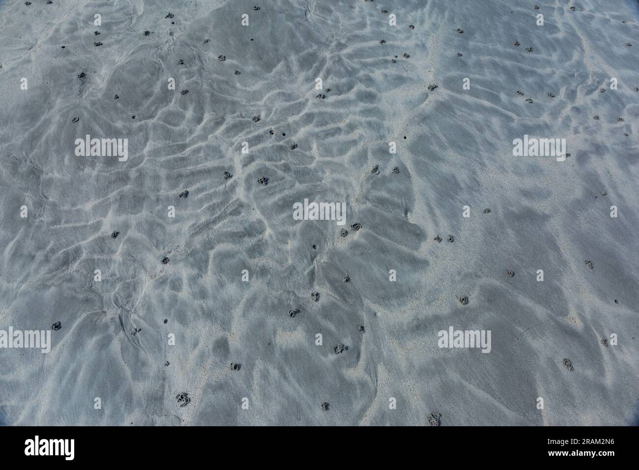 Landscape view of worm casts on beach, Salum Bay, Tiree, Scotland, UK ...