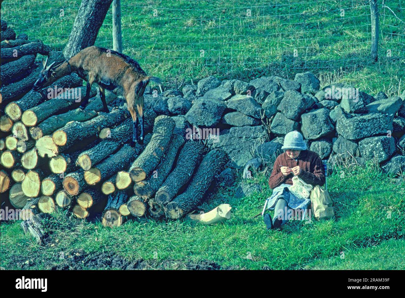 Buron, Puy-de-Dome, Auvergne,, France Stock Photo - Alamy