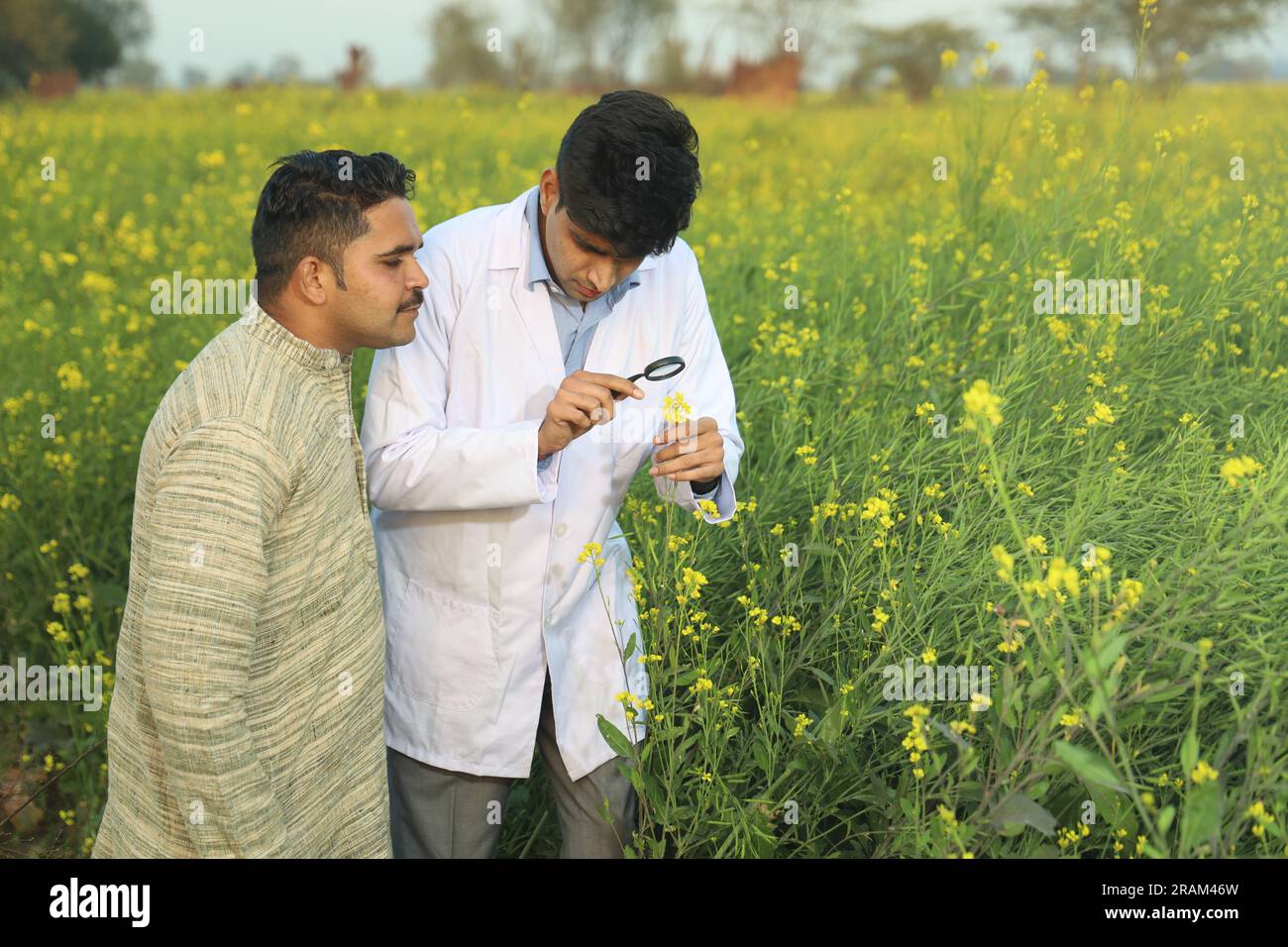 Doctor testing and examining crops quality for betterment of ...
