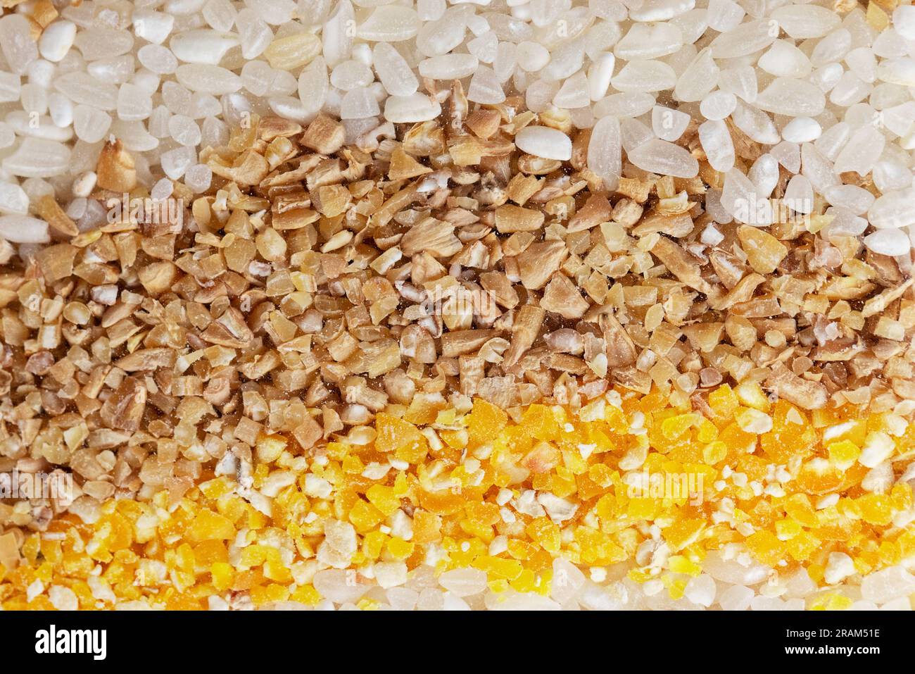 Various groats, cereals. Different types of groats as a background ...