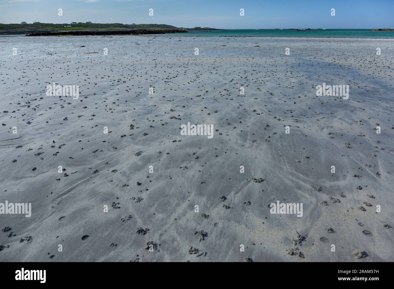 Landscape view of worm casts on beach, Salum Bay, Tiree, Scotland, UK ...
