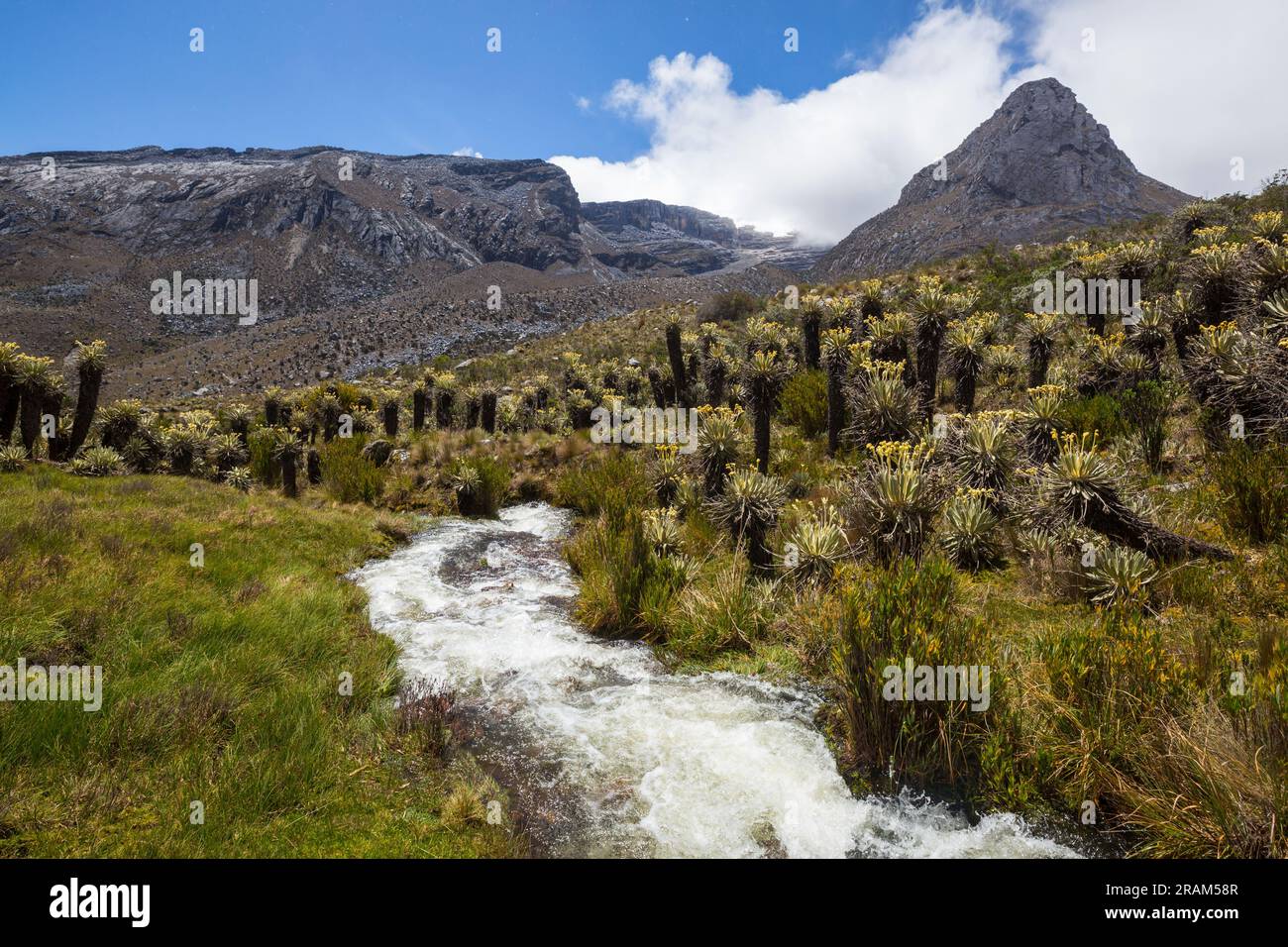 Beautiful view of El Cocuy National Park , Colombia, South America ...