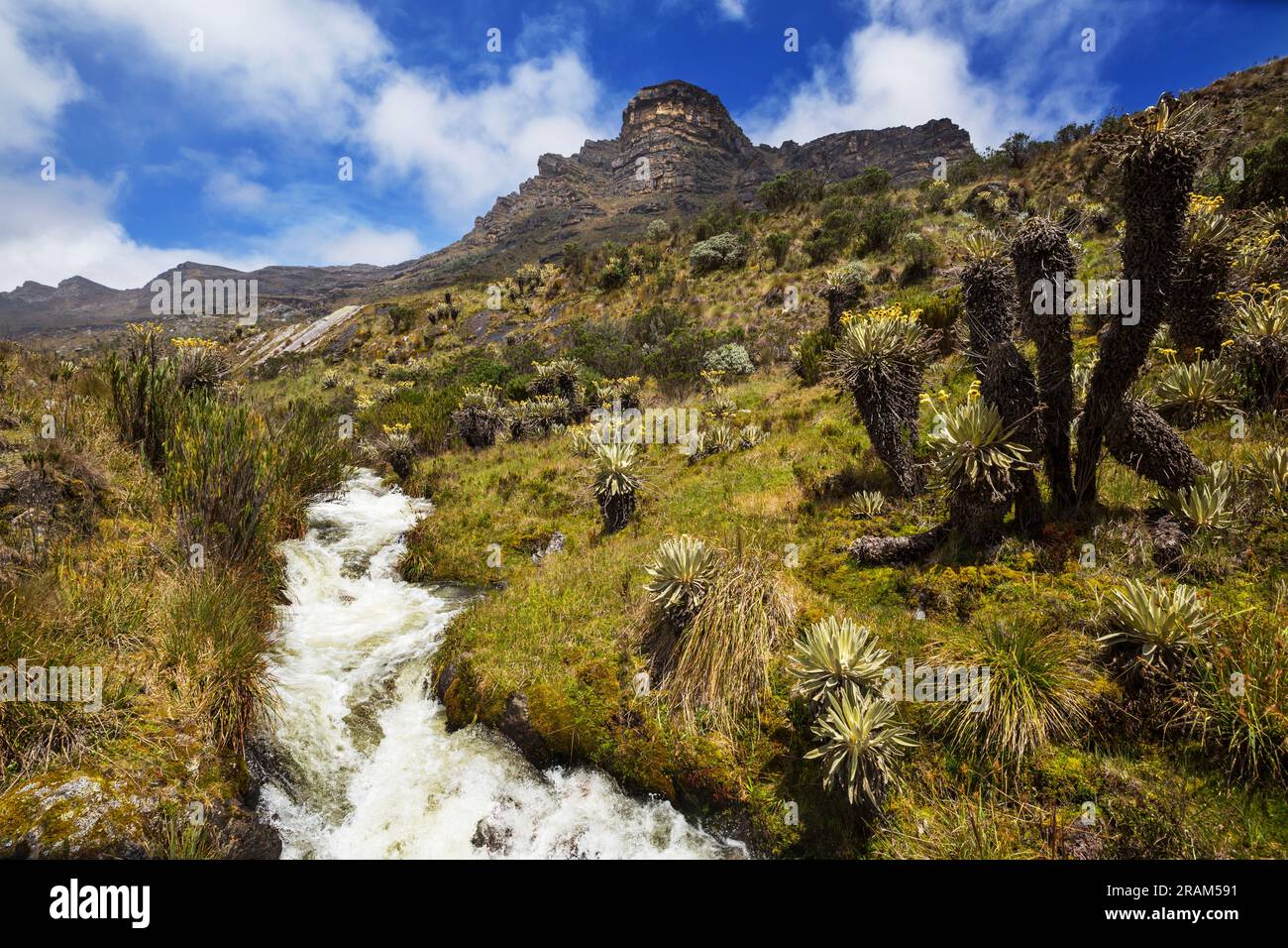 Beautiful view of El Cocuy National Park , Colombia, South America ...
