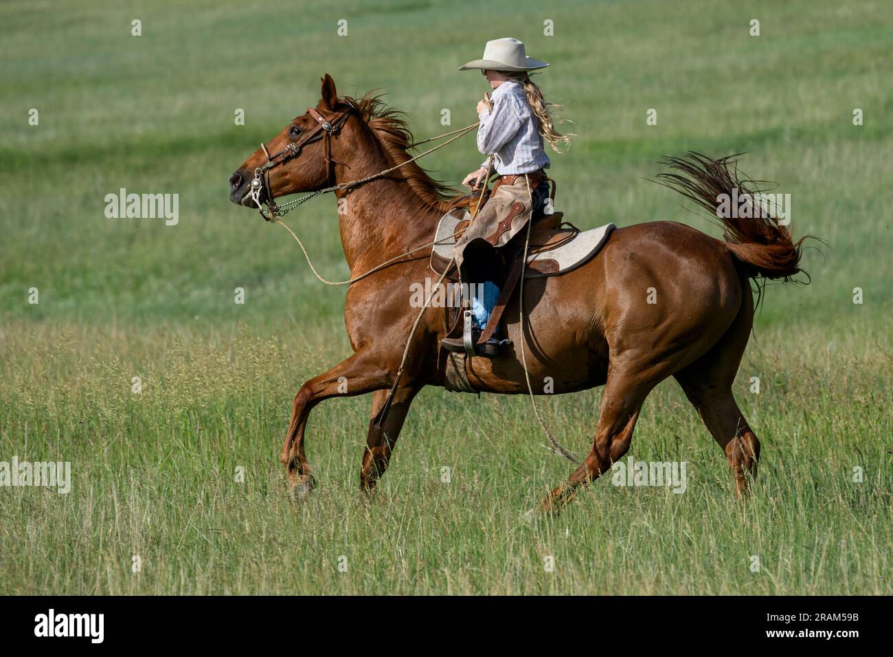 Ada Dennis riding her horse; Dennis Ranch, Red Owl, South Dakota Stock ...