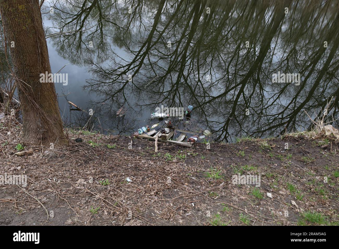 Dead fish and lake pollution, spring forest atmosphere Stock Photo - Alamy