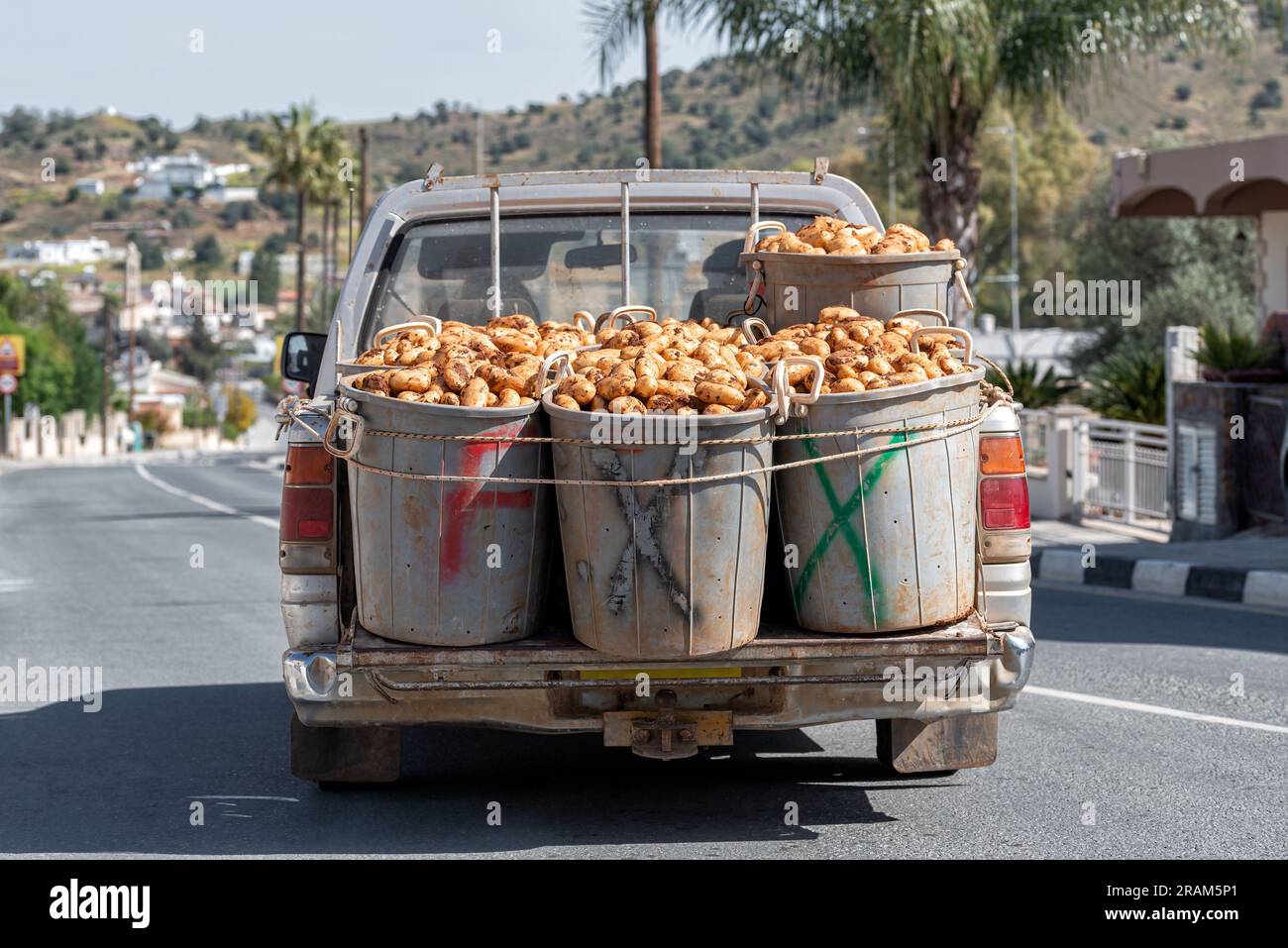 Farmers car carries on the trunk buckets of world's famous Cyprus ...