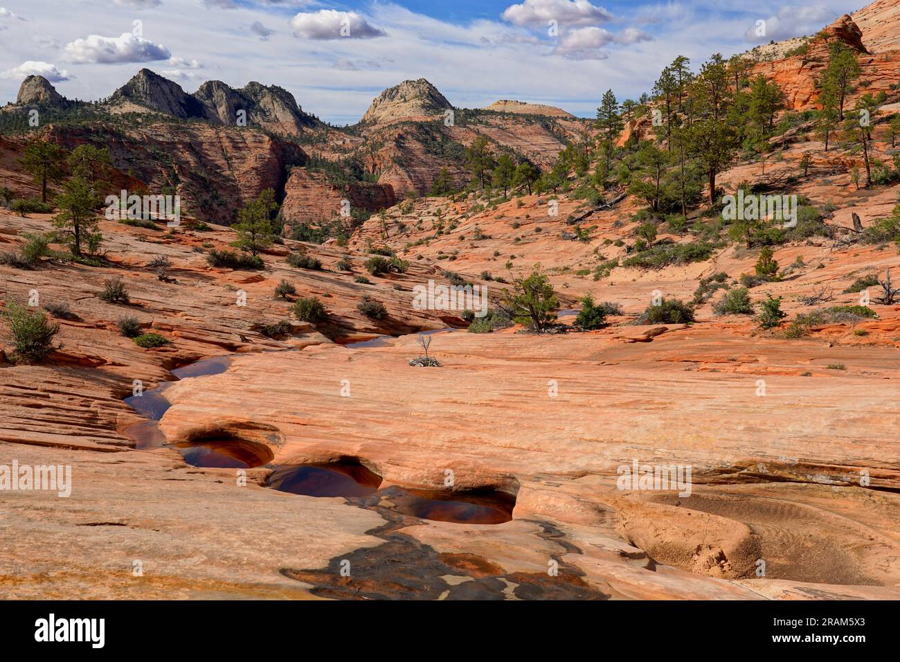 Many pools trail hi-res stock photography and images - Alamy