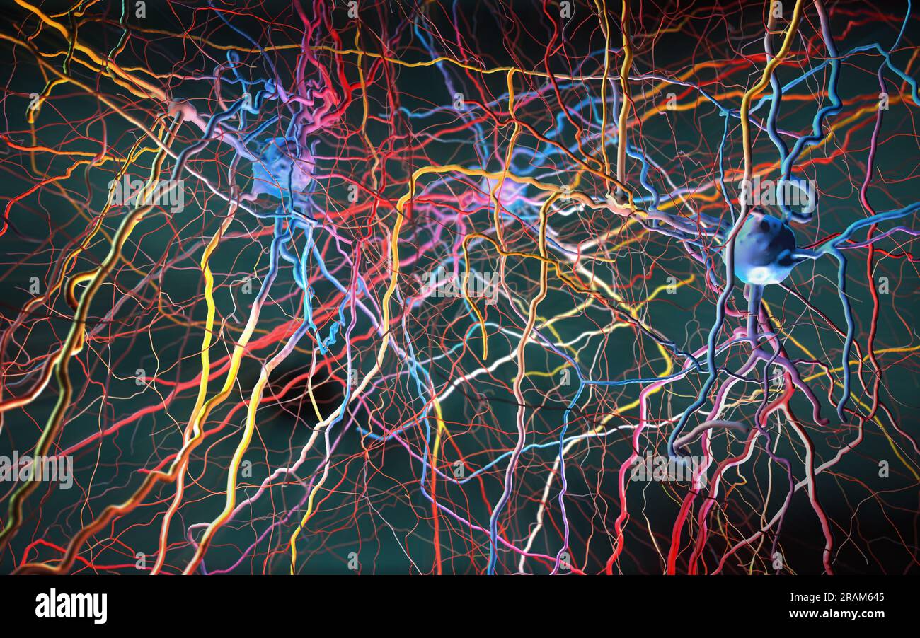 Neurons or nerve cells connected in neuronal network- 3d illustration ...