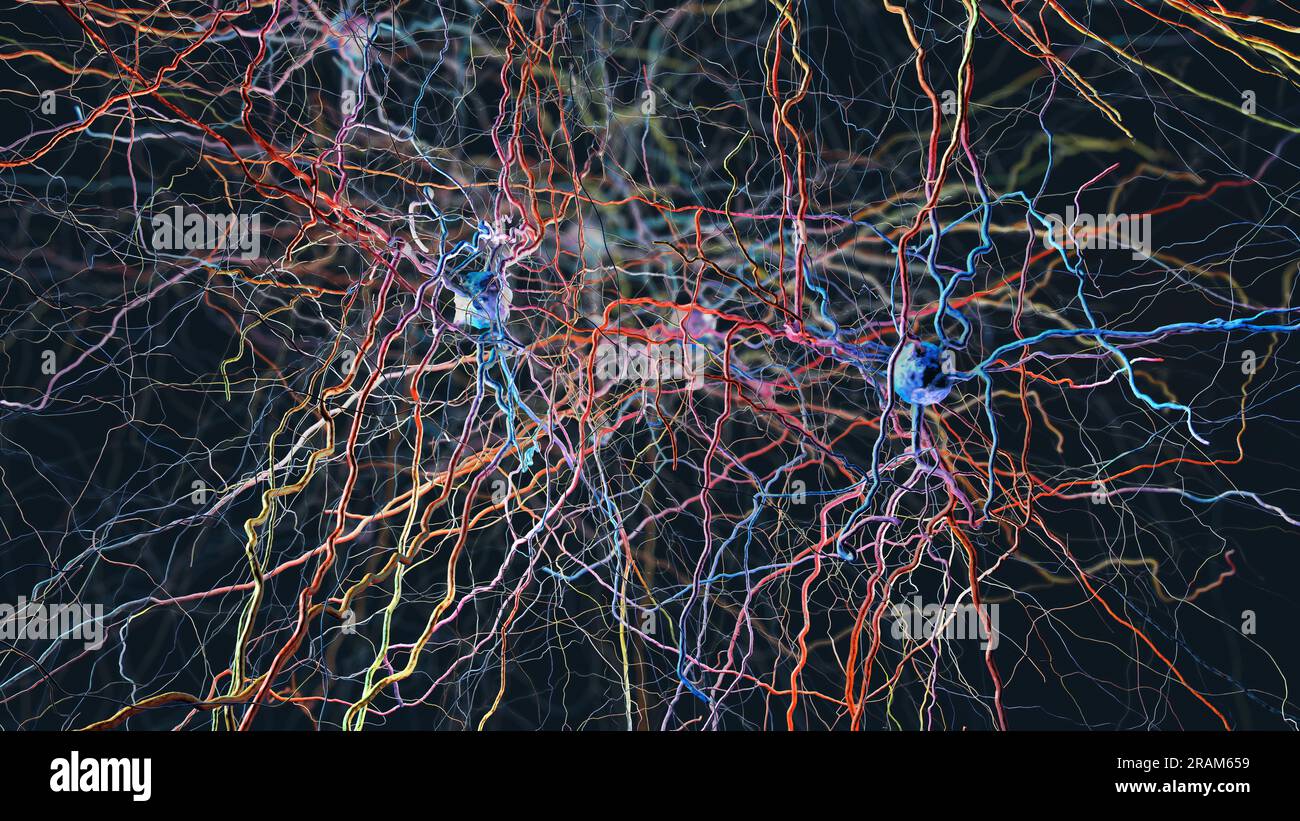 Neurons or nerve cells connected in neuronal network- 3d illustration ...