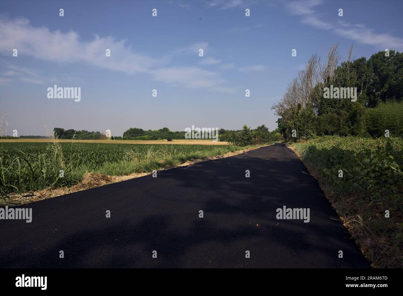Paved trail next to cultivated fields on the top of an embankment in ...