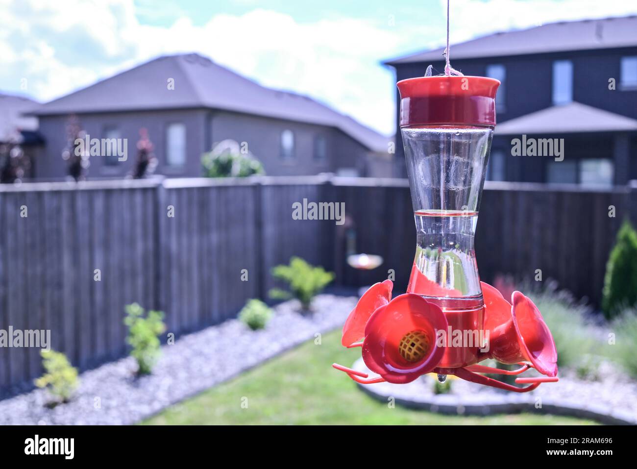 Decorated bird feeder hi-res stock photography and images - Alamy