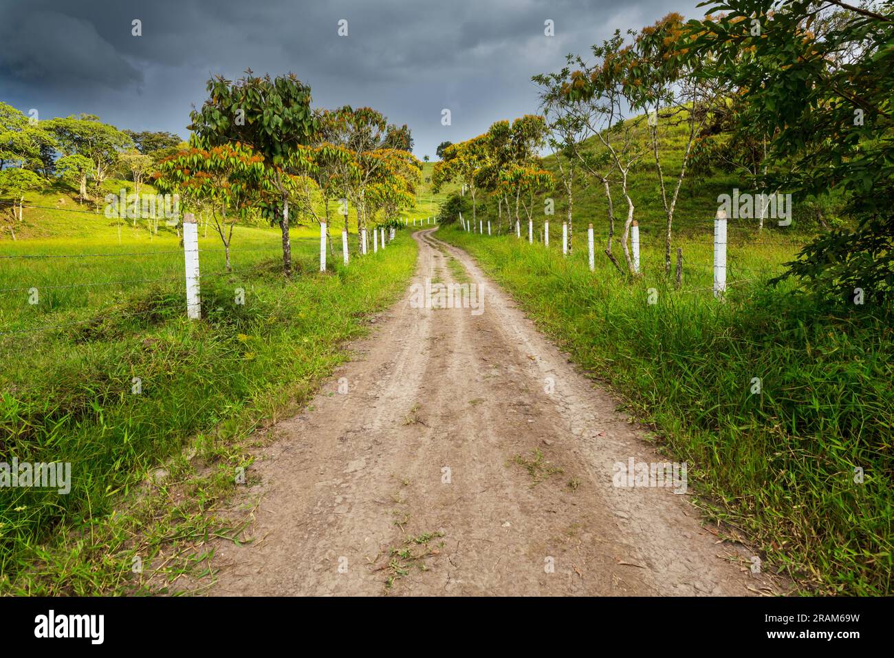 Rural road in the Colombia, South America Stock Photo - Alamy