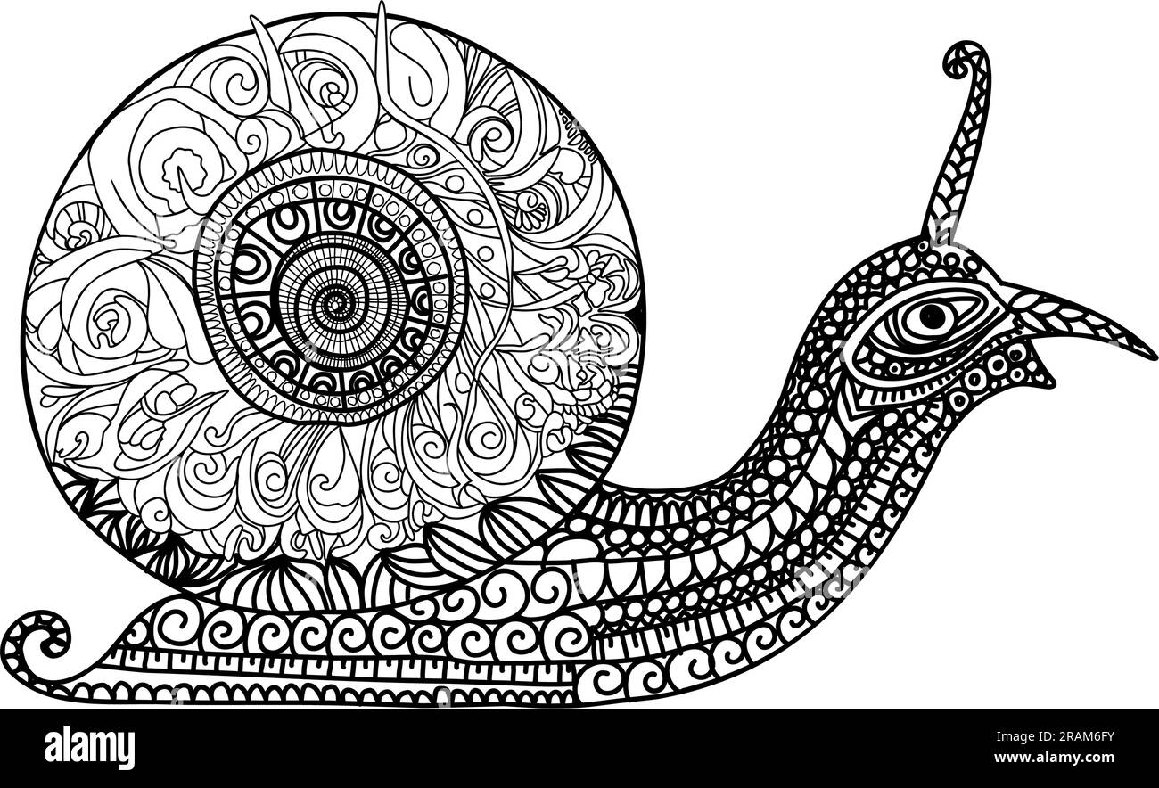 Mollusk snail in zentangle style.Simple line illustration for coloring ...