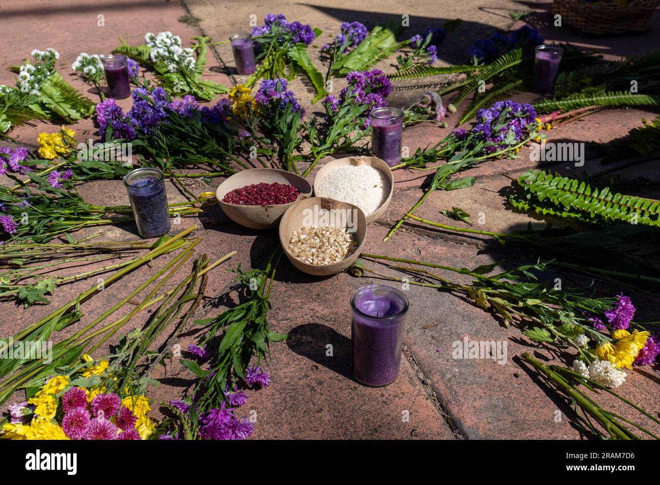 Female gender sign flowers hi-res stock photography and images - Alamy