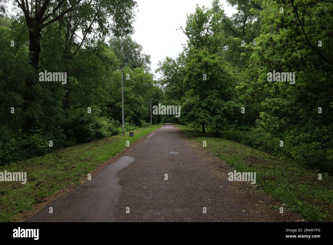 Summer park atmosphere Stock Photo - Alamy