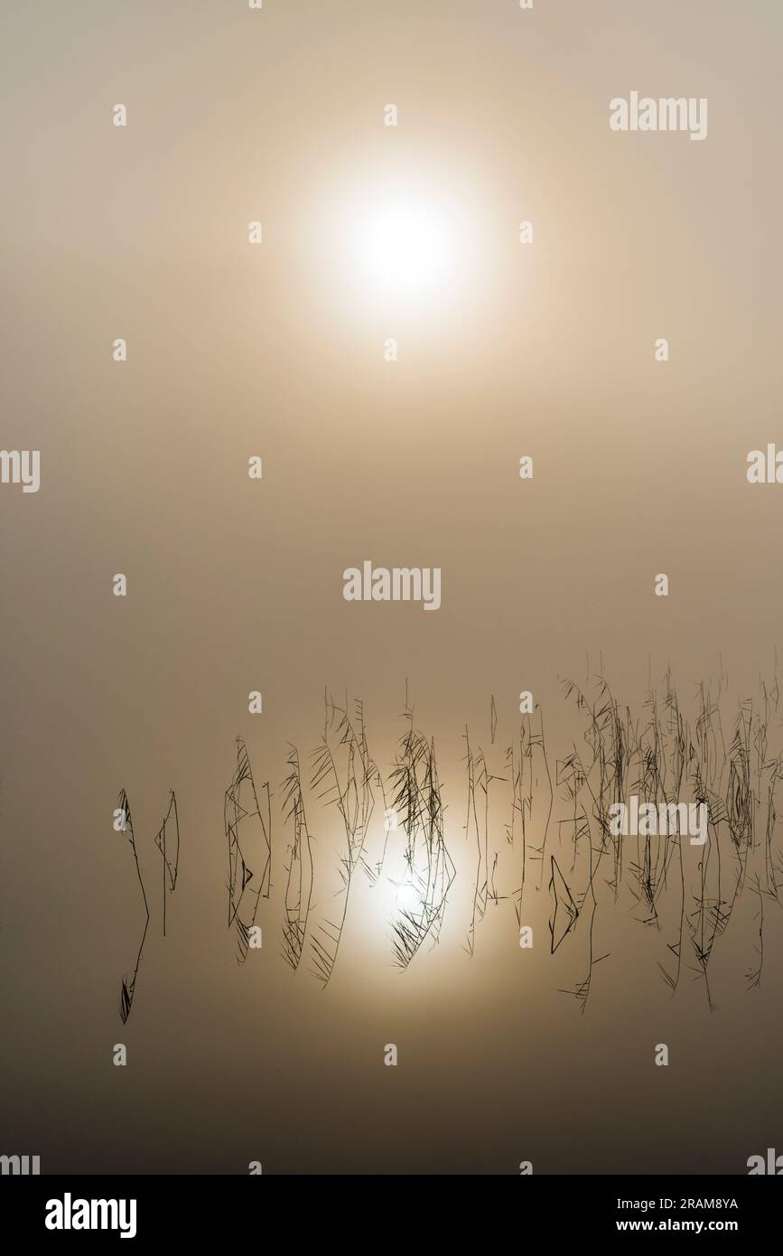 Foggy sun over misty lake hi-res stock photography and images - Alamy