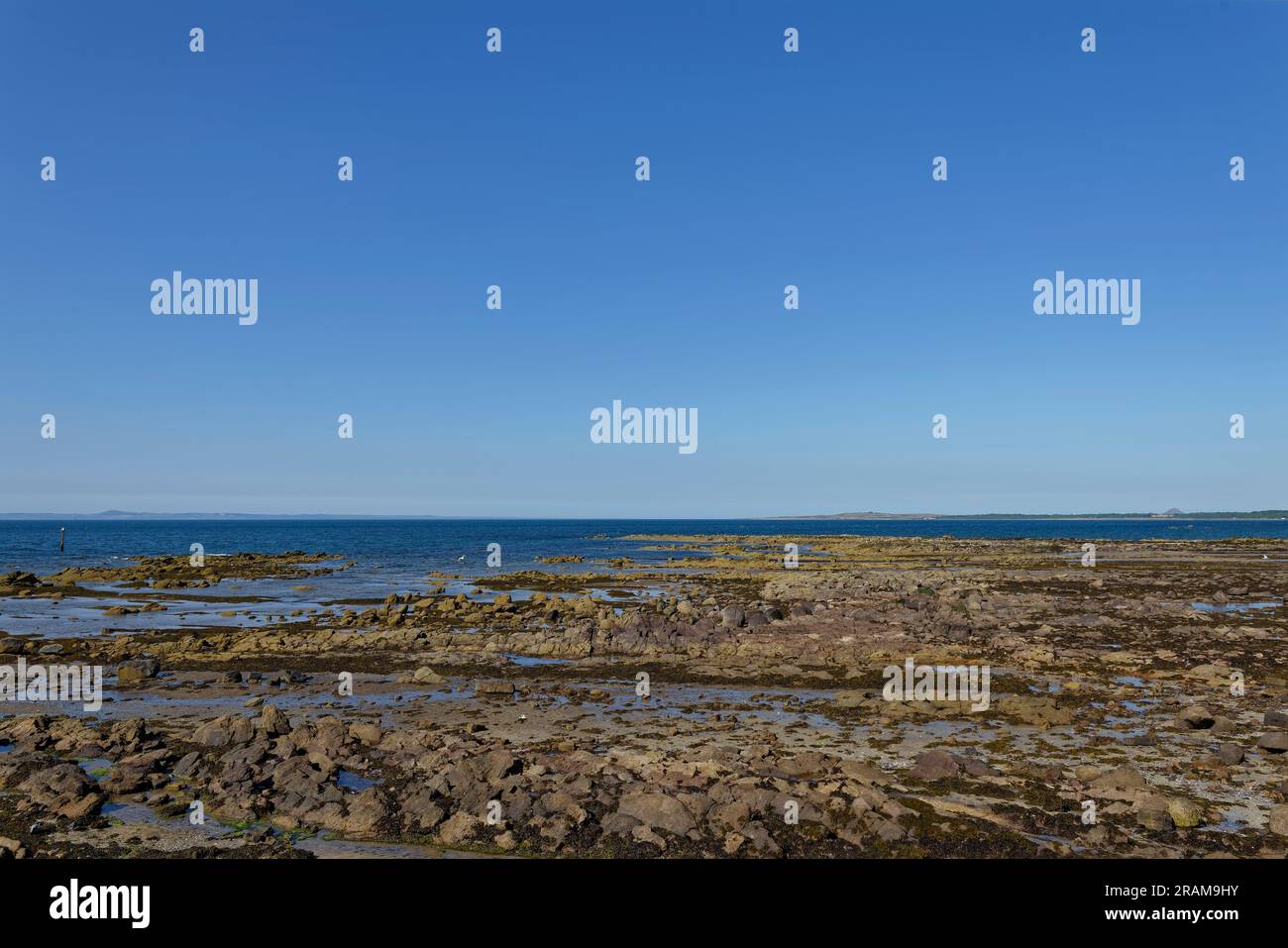 Jutting forth hi-res stock photography and images - Alamy