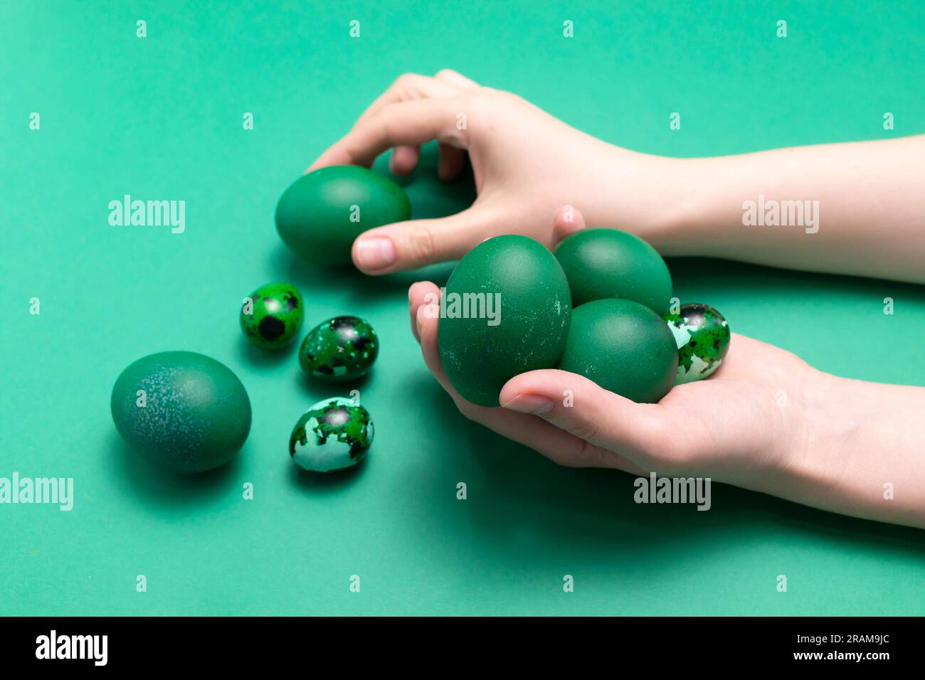 Female hands holding blue green Easter chicken quail eggs on blue ...
