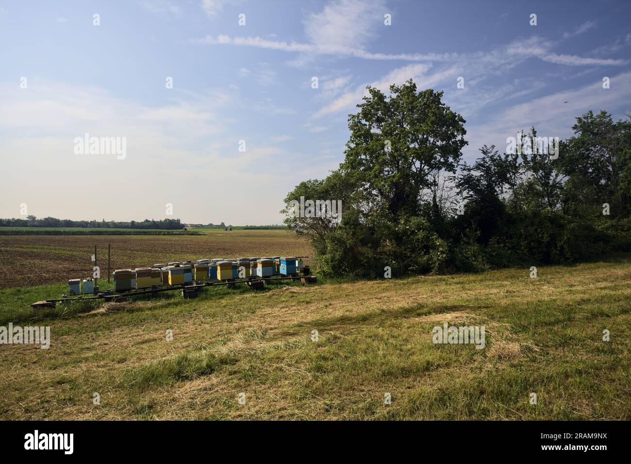 Traditional bee hive hi-res stock photography and images - Alamy