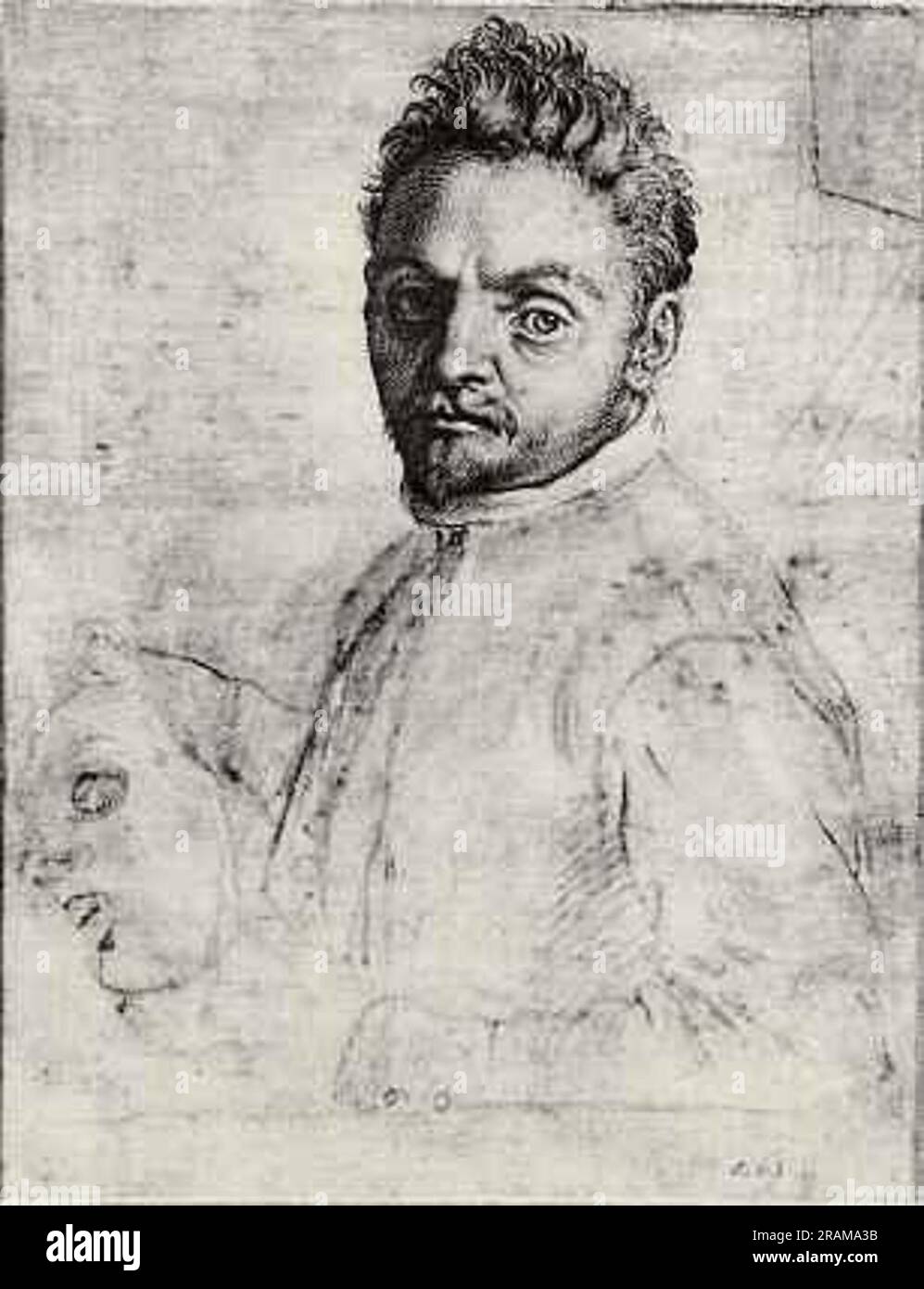 Il sivello hi-res stock photography and images - Alamy