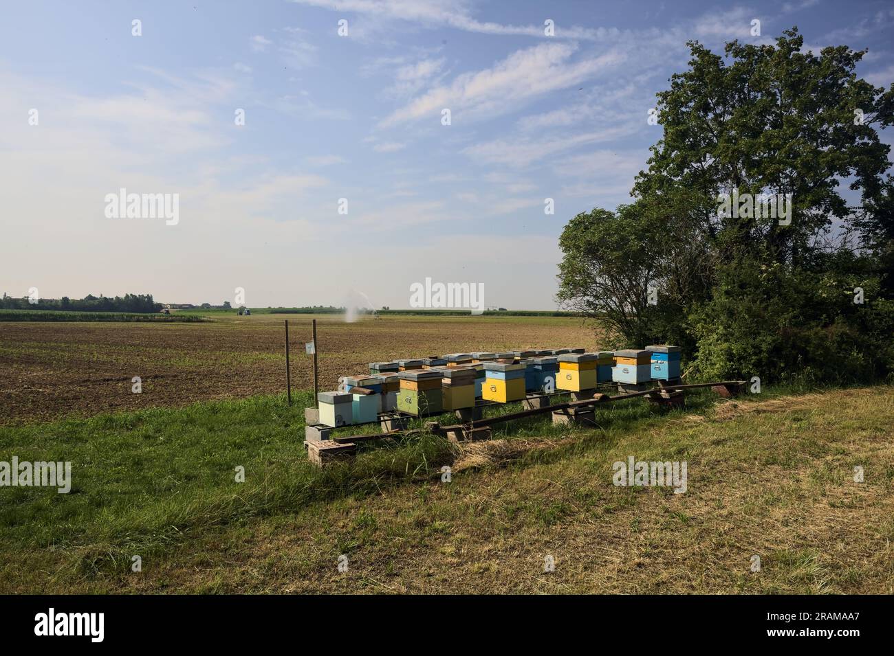 Traditional beehives hi-res stock photography and images - Alamy