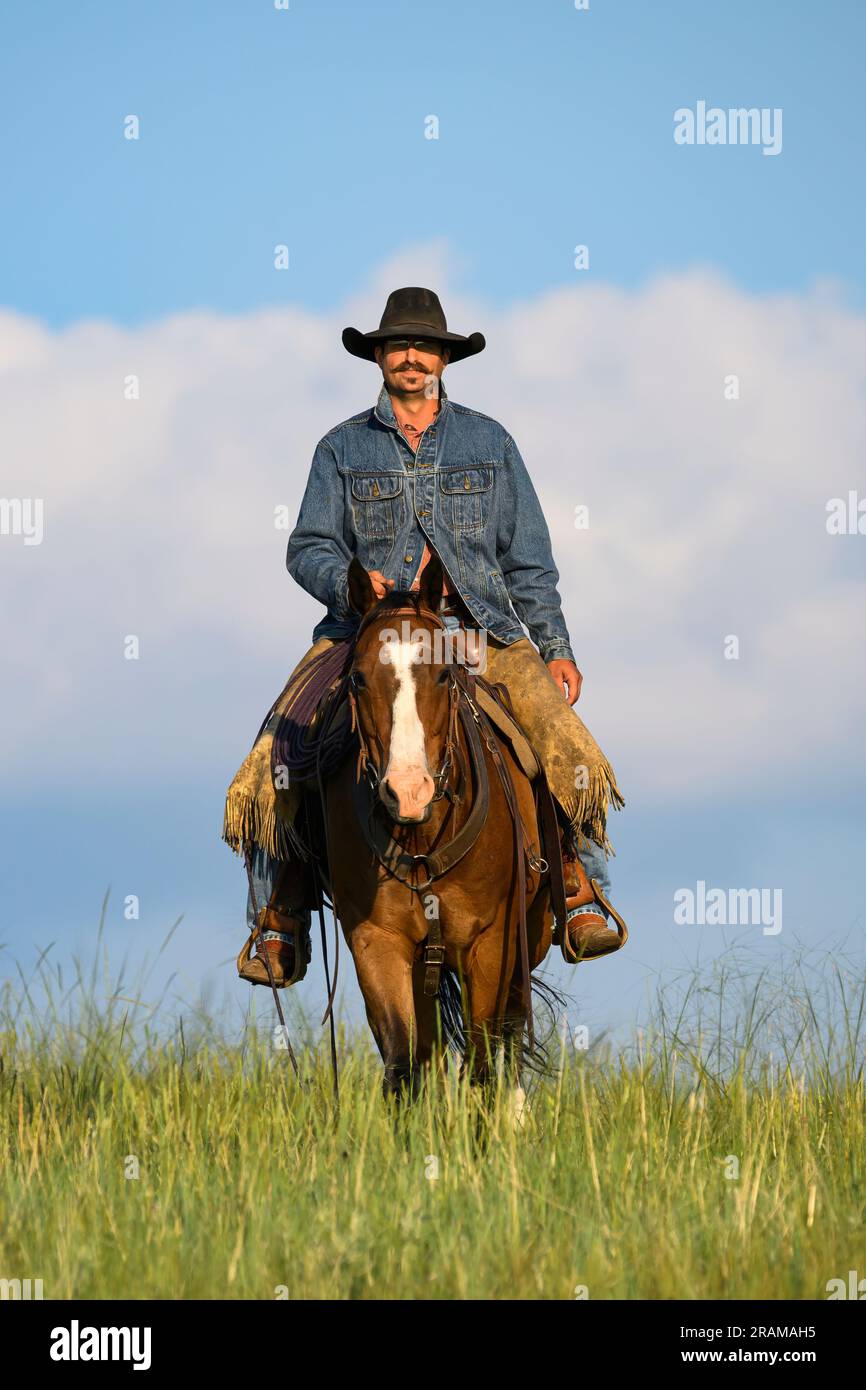 Dennis Ranch, Red Owl, South Dakota Stock Photo - Alamy