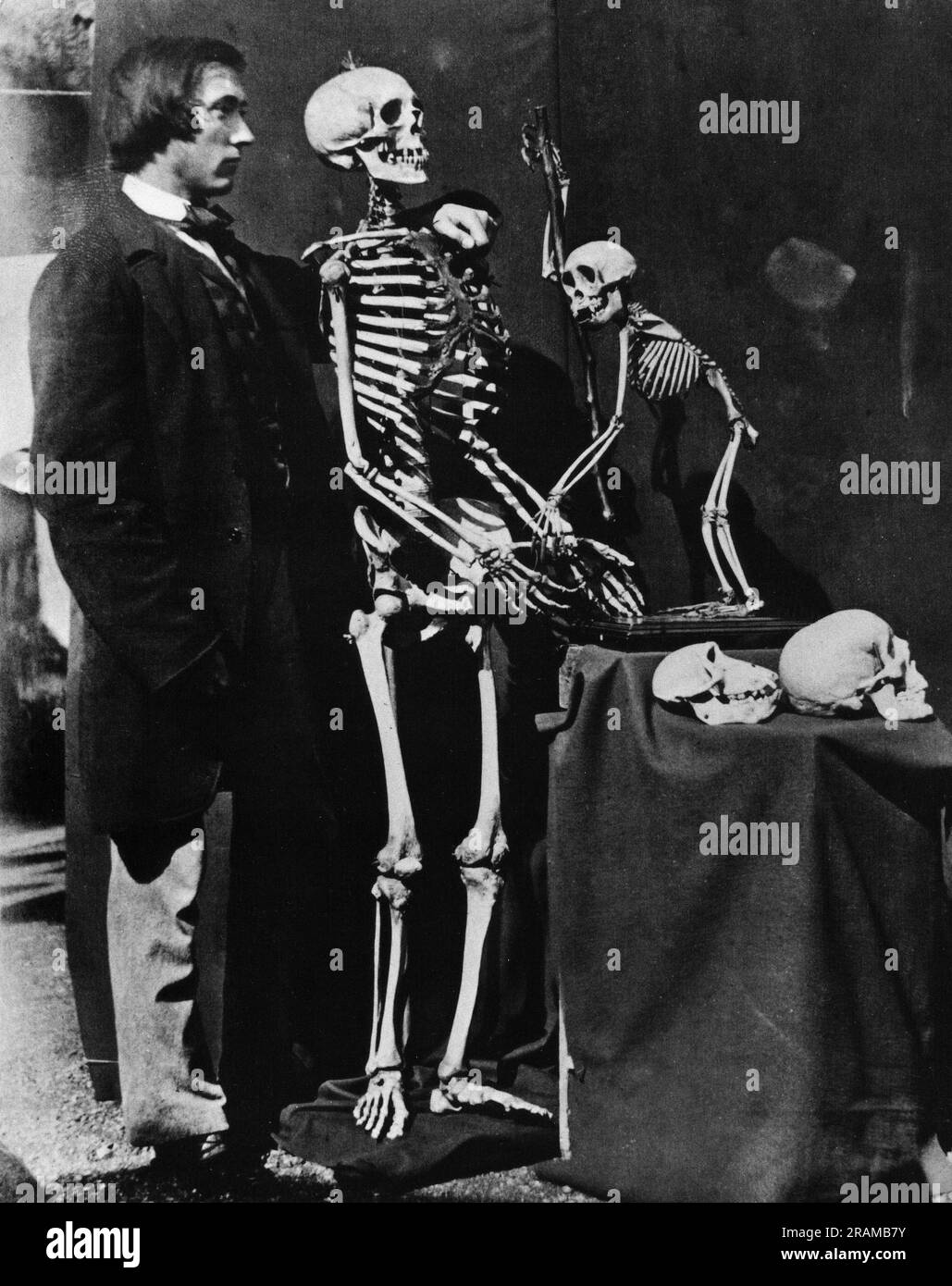 Reginald lewis hi-res stock photography and images - Alamy