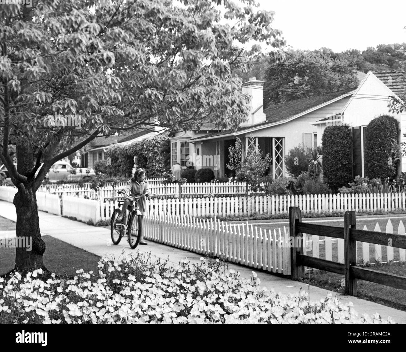 Children with flowers 1950s hi-res stock photography and images - Alamy