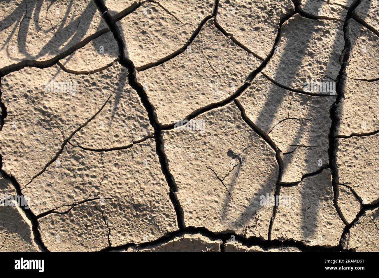 Ground very fertile hi-res stock photography and images - Alamy