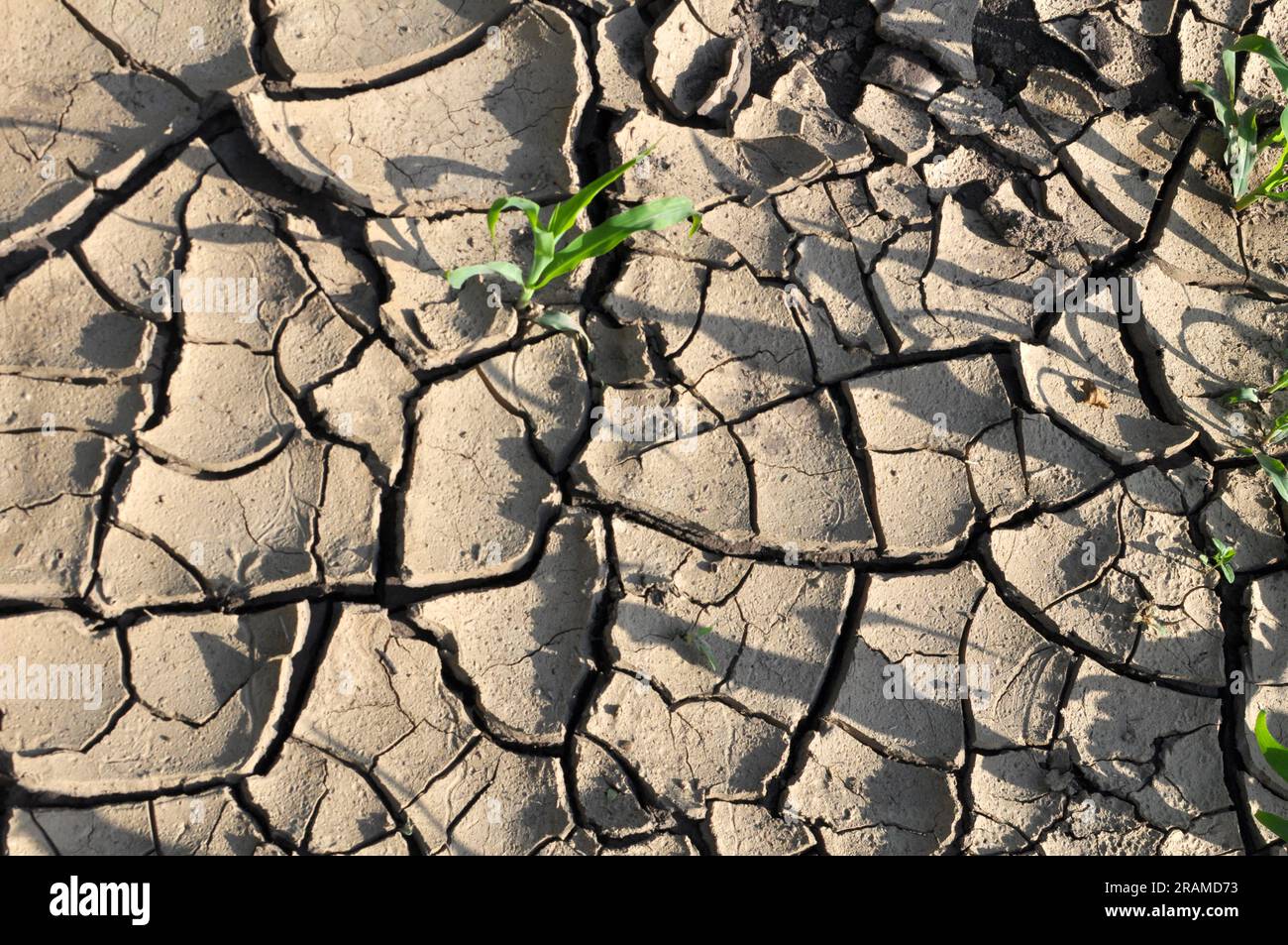 Soil ground texture hi-res stock photography and images - Alamy